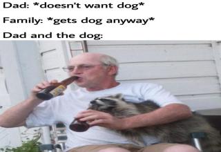 Dad And The Dog Memes For Dads Who Didn't Want Dogs - Funny Gallery ...