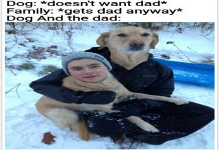 Dad And The Dog Memes For Dads Who Didn't Want Dogs - Funny Gallery ...