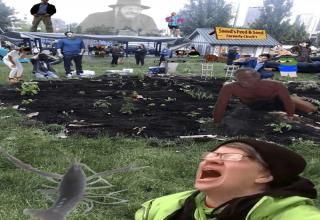 28 Memes Roasting the Absurdity of the CHAZ - Funny Gallery | eBaum's World