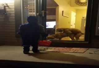 36 Hysterical Pics and Gifs to Provide You With Side-Splitting Laughter ...