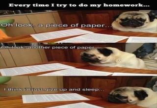 36 Hilarious Memes For Your Enjoyment - Funny Gallery | eBaum's World