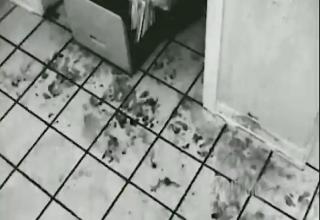 A Chilling Look Inside The Crime Scene Of An Ax Murderer - Wtf Gallery ...