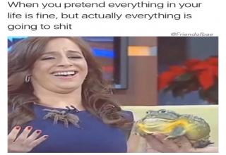 A Massive Dump Of Memes Is Exactly What You Need! - Funny Gallery ...