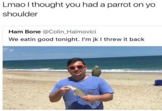 58 Fresh AF Memes for Hump Day - Gallery | eBaum's World