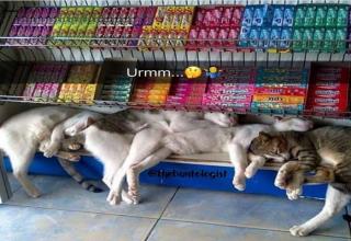 Enjoy A Fresh Batch Of Memes That Will Brighten Your Day - Funny ...