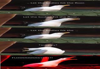 37 Hilarious Memes That Will Satisfy Your Cravings - Funny Gallery ...