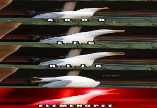 37 Hilarious Memes That Will Satisfy Your Cravings - Funny Gallery ...