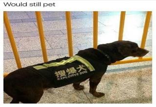 50 Funny Memes To Jump Start Your Week - Gallery | eBaum's World