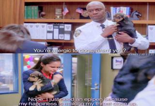 43 Hilarious Memes For When You Need A Break - Funny Gallery | eBaum's ...