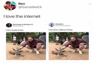 37 Dank Memes That Are Hilarious - Funny Gallery | eBaum's World