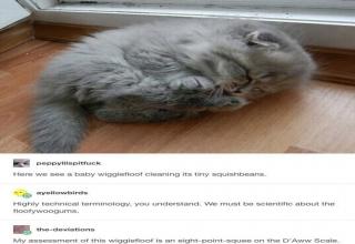 40 Hilarious Memes To Help You Relax and Unwind - Funny Gallery | eBaum ...