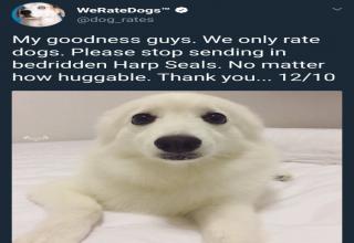 39 Memes To Infect Your Funny Bone - Funny Gallery | eBaum's World