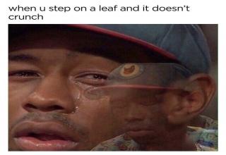 25 Memes to Help You Laugh Despite Your Victimhood of Fate's Fickle ...