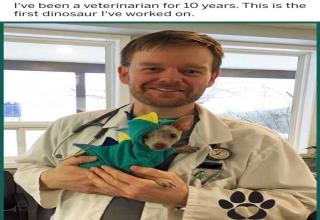 25 Memes to Help You Laugh Despite Your Victimhood of Fate's Fickle ...