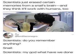 39 Dank Memes To Squeeze Your Cheeks - Funny Gallery | eBaum's World