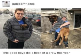 45 Funny Pics From The Internet's Memery Glands - Funny Gallery | eBaum ...