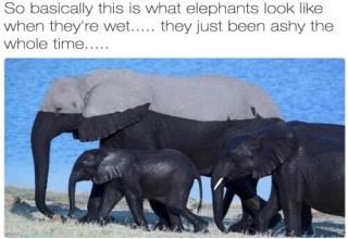 45 Funny Pics From The Internet's Memery Glands - Funny Gallery | eBaum ...