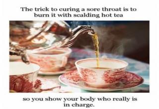 45 Funny Pics From The Internet's Memery Glands - Funny Gallery | eBaum ...