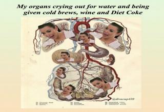 42 Awesome Memes That Will Make You Bust A Gut - Funny Gallery | eBaum ...