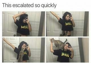 41 Funny Memes That Will Tickle Your Funny Bone - Gallery | eBaum's World