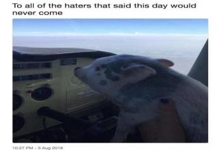 47 Memes That'll Keep You Chill - Funny Gallery | eBaum's World