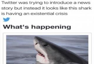 47 Memes That'll Keep You Chill - Funny Gallery | eBaum's World