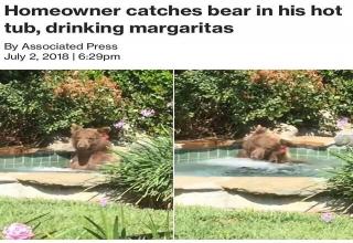 47 Memes That'll Keep You Chill - Funny Gallery | eBaum's World