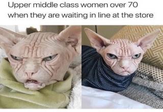 52 Magical Memes That Will Make Your Day Complete - Funny Gallery ...