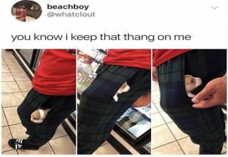 52 Magical Memes That Will Make Your Day Complete - Funny Gallery ...