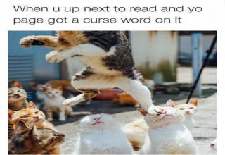 49 Fresh Memes to Stick in Your Eyeballs - Funny Gallery | eBaum's World