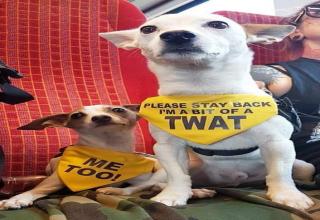 40 Dank Memes To Make Your Day | eBaum's World