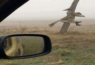 28 Hump Day Memes That Will Make You Chuckle - Funny Gallery | eBaum's ...