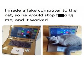 28 Hump Day Memes That Will Make You Chuckle - Funny Gallery | eBaum's ...