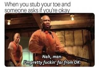 38 Humpday Pics and Memes Guaranteed To Make You Say WTF - Funny ...