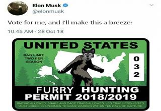 27 Memes That'll Set You Afloat - Funny Gallery | eBaum's World