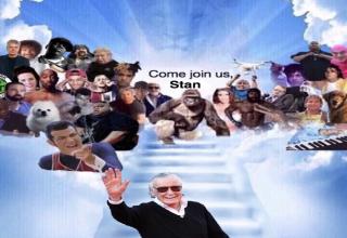 29 Memes to Keep You Cruising - Funny Gallery | eBaum's World