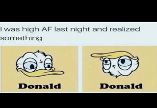 36 Gift Wrapped Memes To Make Your Weekend Complete - Funny Gallery ...