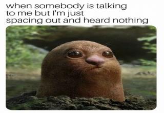 28 Dank Memes For Dank People - Funny Gallery | eBaum's World