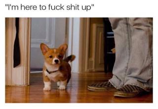 38 Special Memes For You Special People - Funny Gallery | eBaum's World