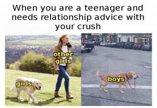 A Mega Dump of 56 Memes to Set You Straight - Wow Gallery | eBaum's World