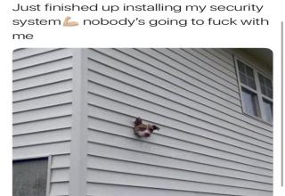 70 Wondrous Double Take Filled Memes To Spark Joy - Funny Gallery ...