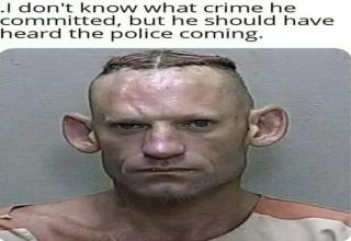 70 Wondrous Double Take Filled Memes To Spark Joy - Funny Gallery ...