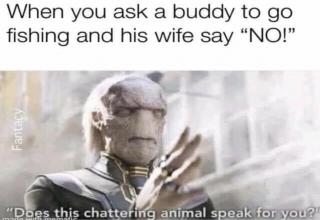 70 Wondrous Double Take Filled Memes To Spark Joy - Funny Gallery ...