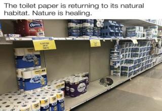 53 Pretty Alright Memes To Rattle Your Funny Bone - Funny Gallery ...