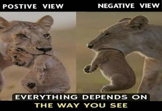 57 Funny Memes That Are Pretty Funny, Trust Me Dude - Funny Gallery ...