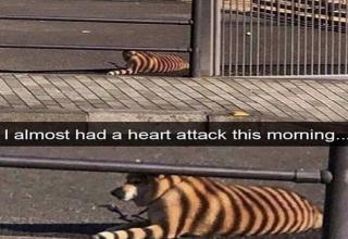 57 Funny Memes That Are Pretty Funny, Trust Me Dude - Funny Gallery ...