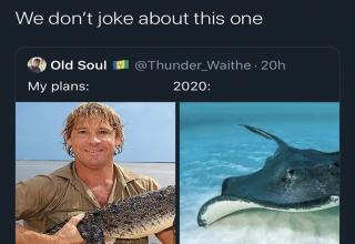 57 Funny Memes That Are Pretty Funny, Trust Me Dude - Funny Gallery ...