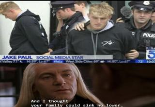 53 Top Tier Memes To Fill Your Daily Needs - Funny Gallery | eBaum's World