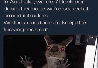 53 Top Tier Memes To Fill Your Daily Needs - Funny Gallery | eBaum's World