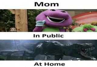 52 High Level Humor Memes Right For You - Funny Gallery | eBaum's World